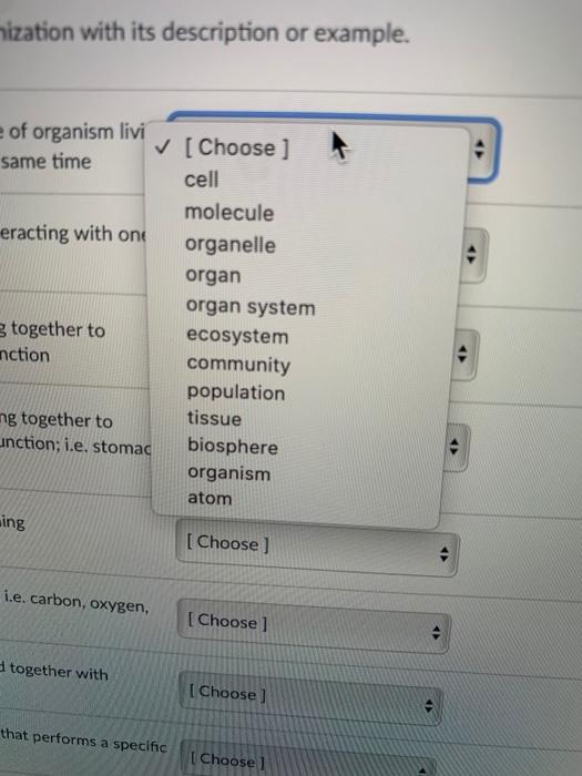 Solved Match the level or organization with its description | Chegg.com