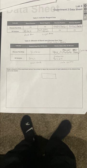 Experiment 2 Data Sheet Table 2: Indieaser Boagent | Chegg.com