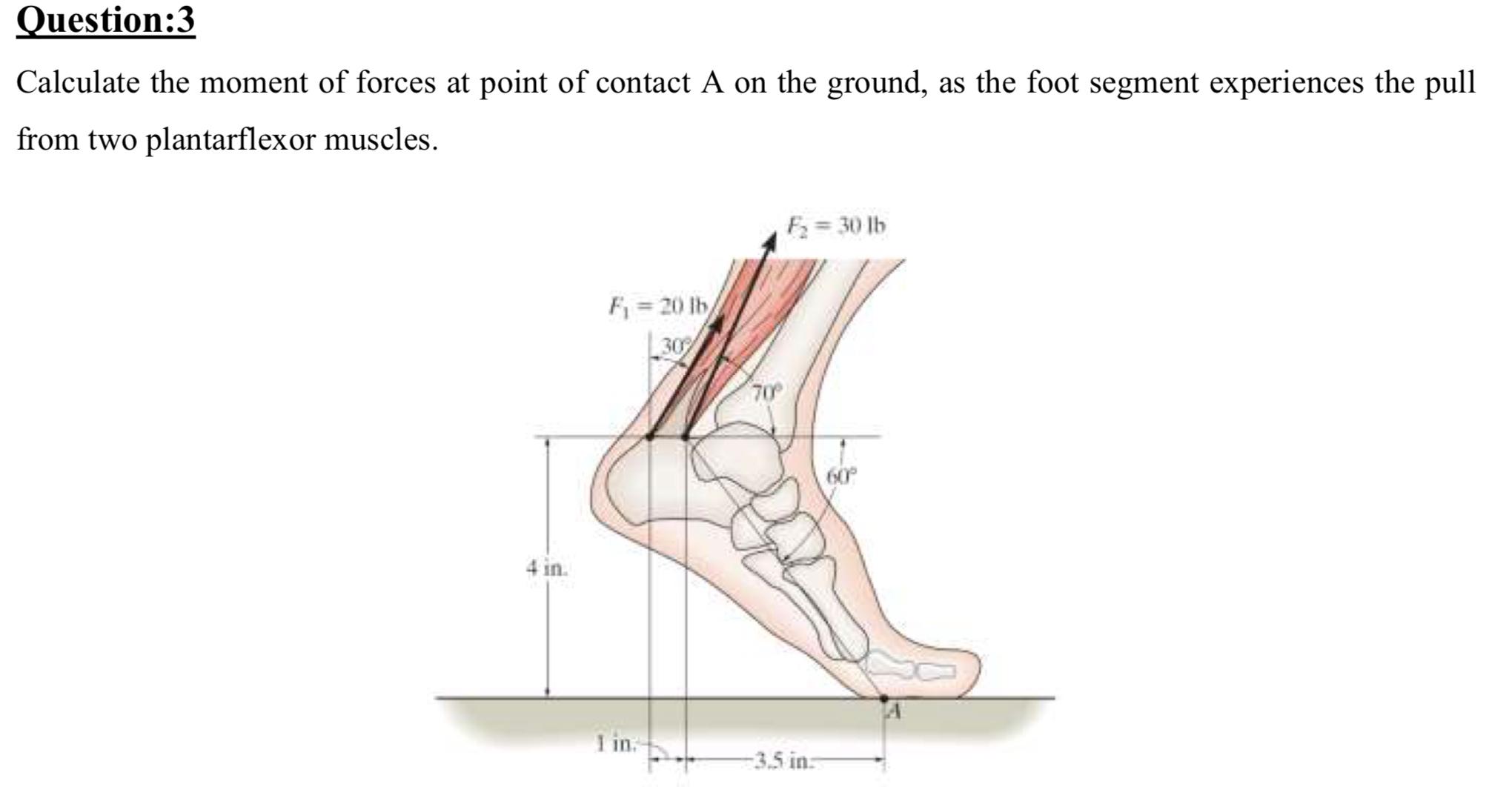 Solved Question:3Calculate the moment of forces at point of | Chegg.com