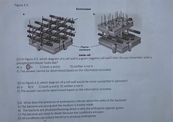 Solved Figure 4.3 Environment 22) In Figure 4.3, which | Chegg.com