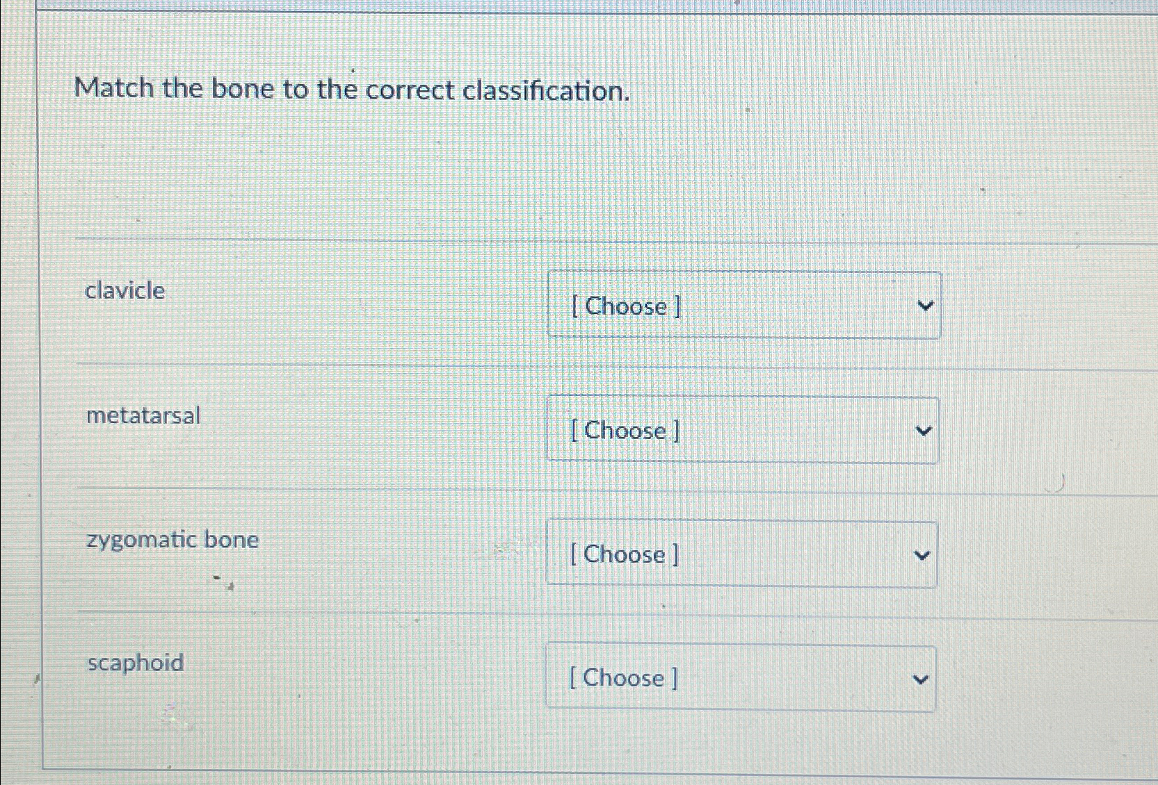 Solved Match the bone to the correct | Chegg.com
