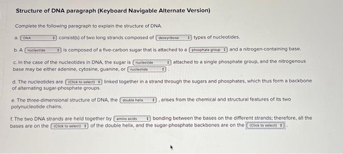 Structure of DNA paragraph (Keyboard Navigable | Chegg.com