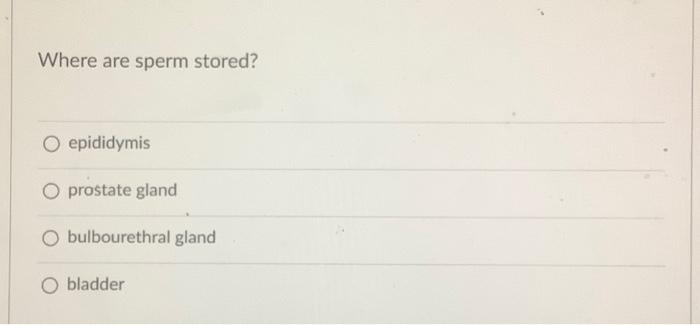 Solved Where Are Sperm Stored Epididymis Prostate Gland