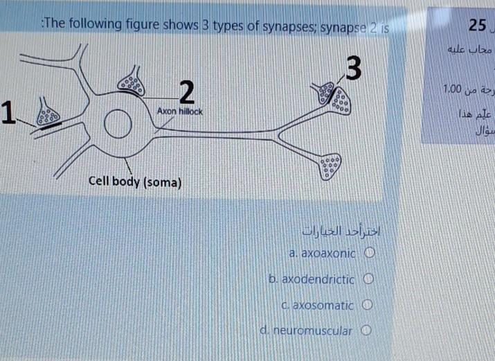Solved The following figure shows 3 types of synapses; | Chegg.com