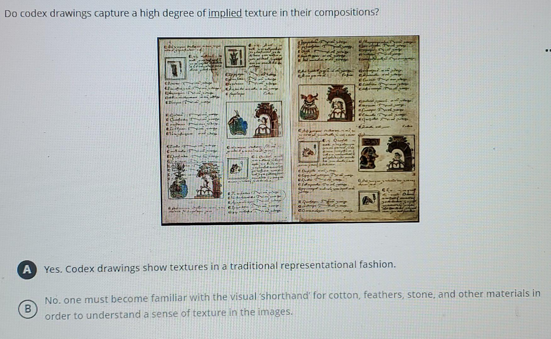 Solved Do codex drawings capture a high degree of implied | Chegg.com