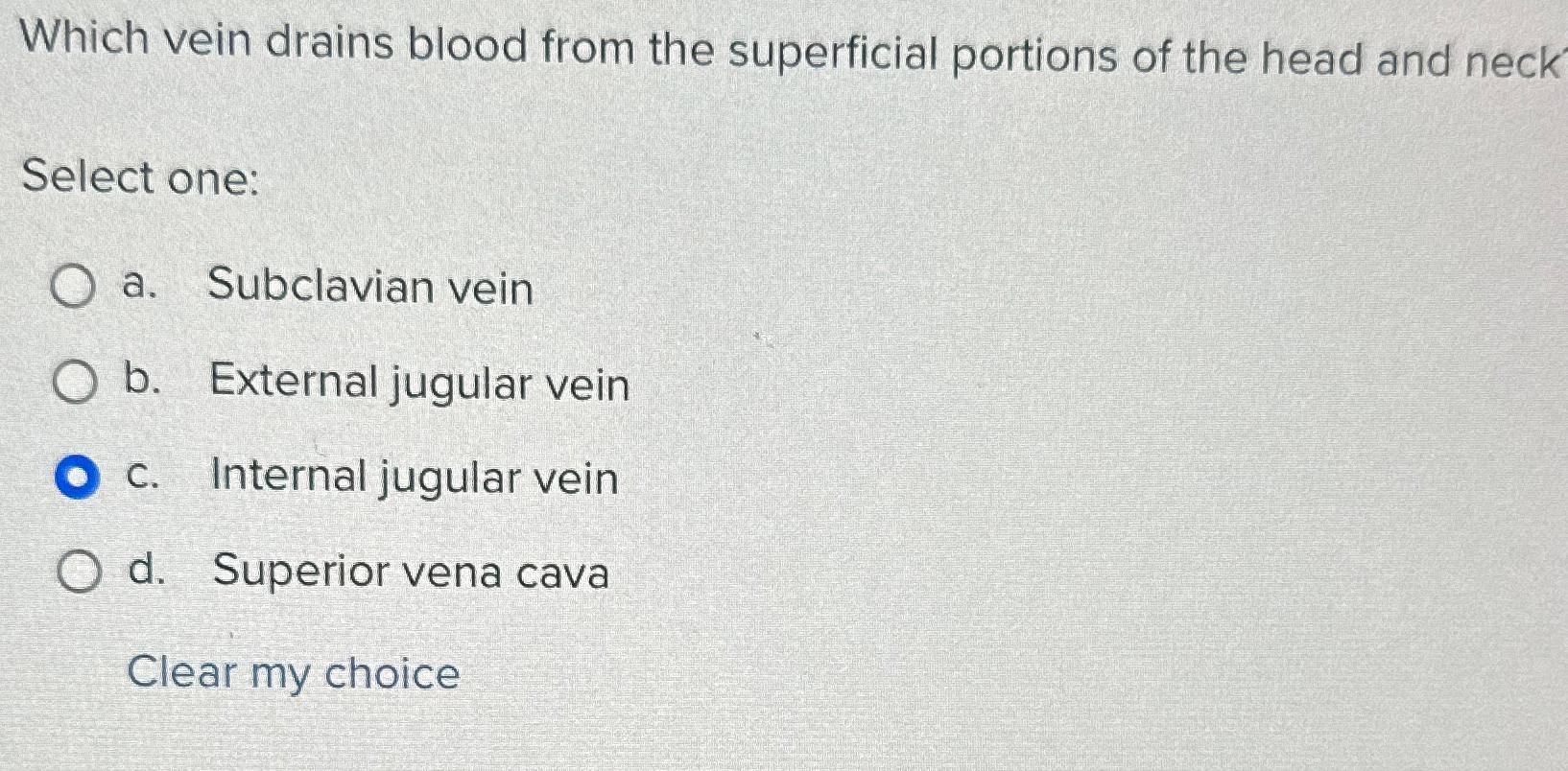 Solved Which vein drains blood from the superficial portions | Chegg.com