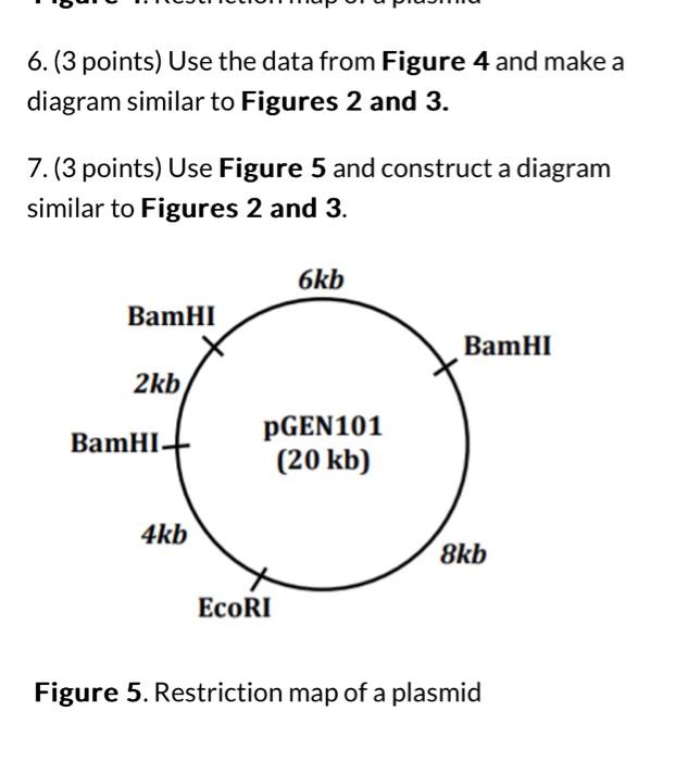 Solved 3. (3 points) Use the following figure (Figure 2 ) | Chegg.com