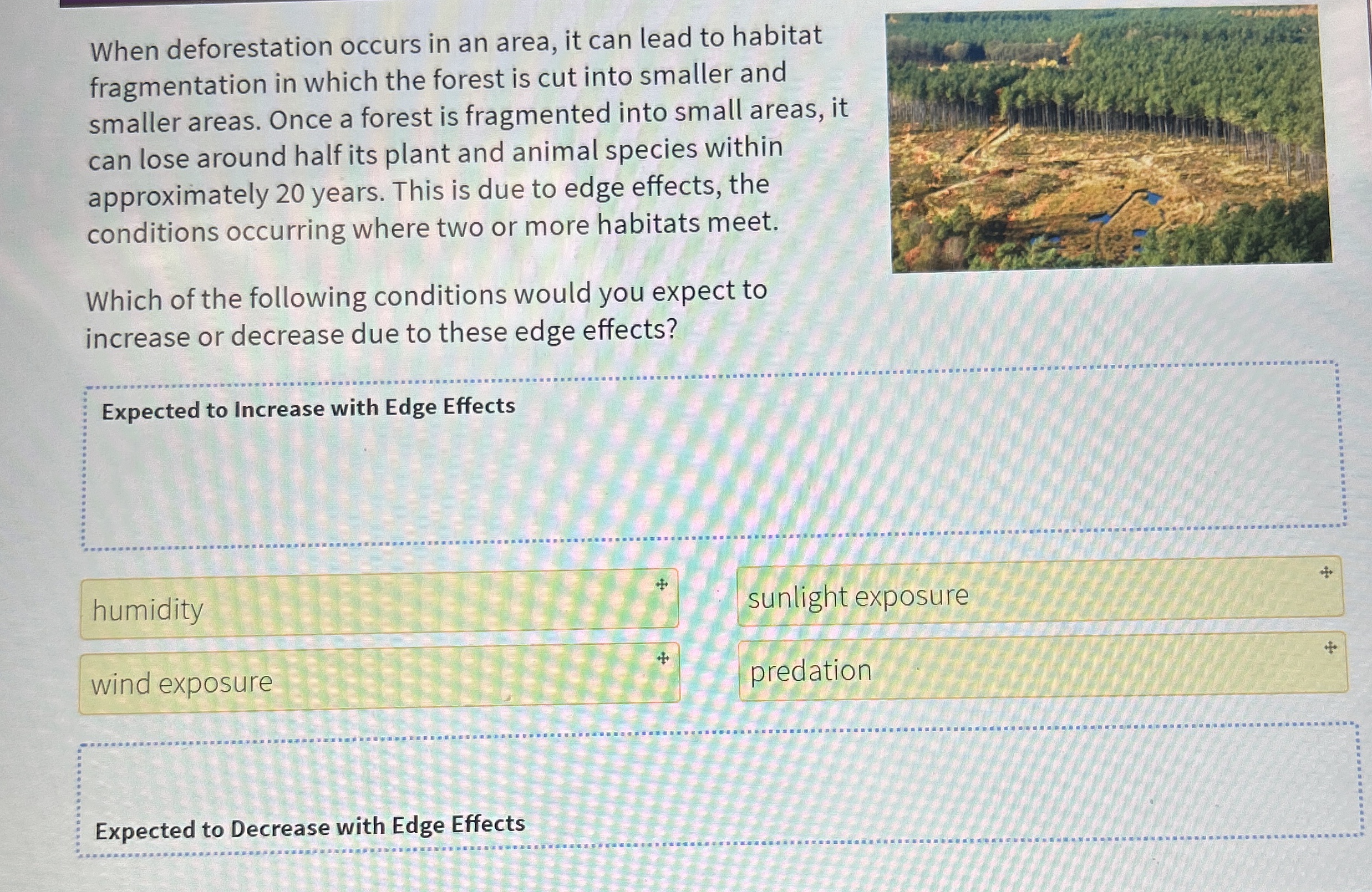 Solved When deforestation occurs in an area, it can lead to | Chegg.com