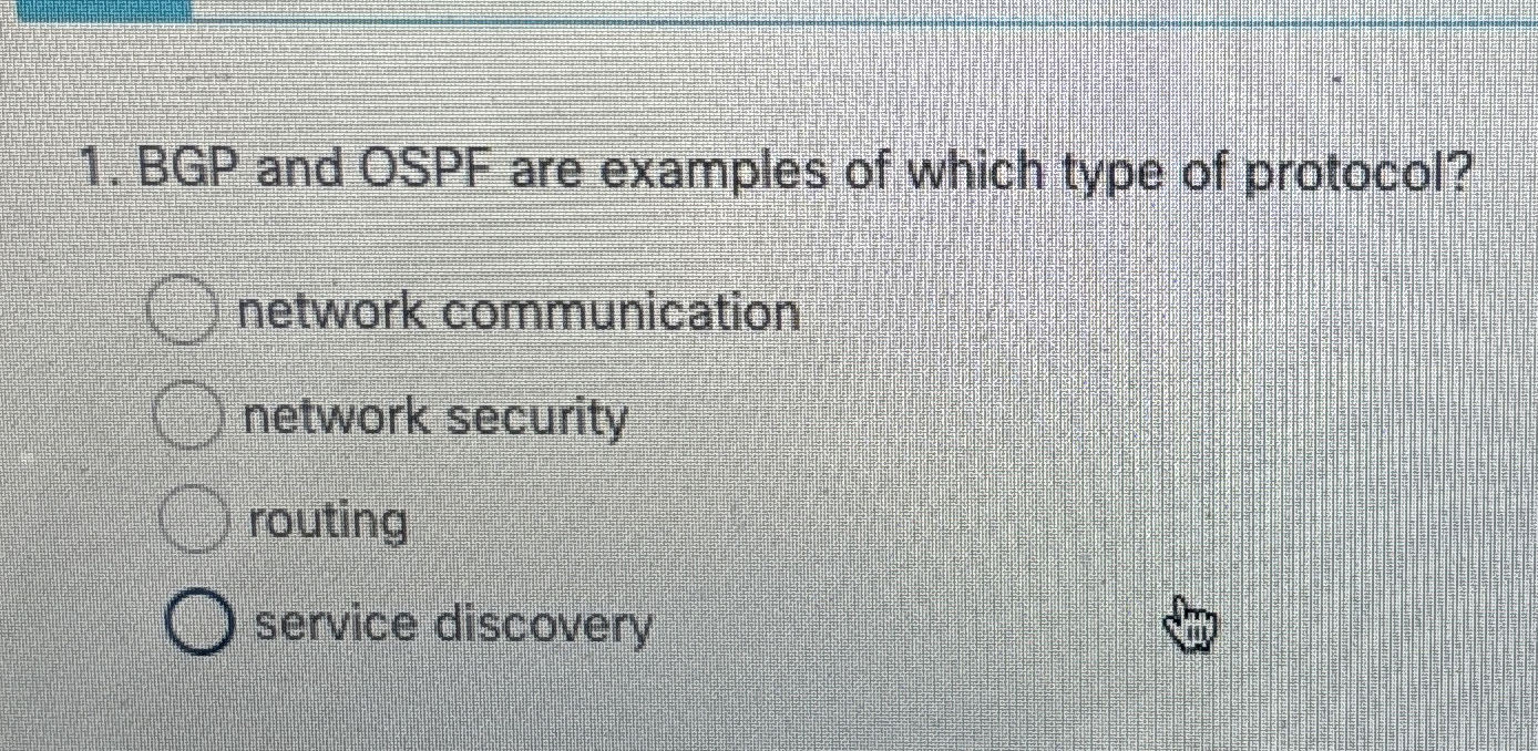 Solved BGP and OSPF are examples of which type of | Chegg.com