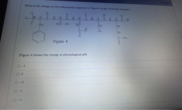 Solved (Figure 4 shows the charge at physiological pH) | Chegg.com