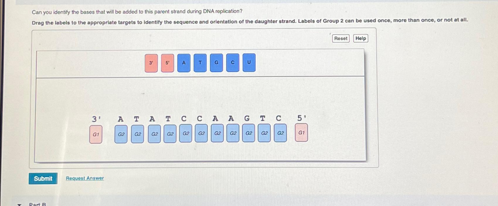 Solved Can you identity the bases that will be added to this | Chegg.com