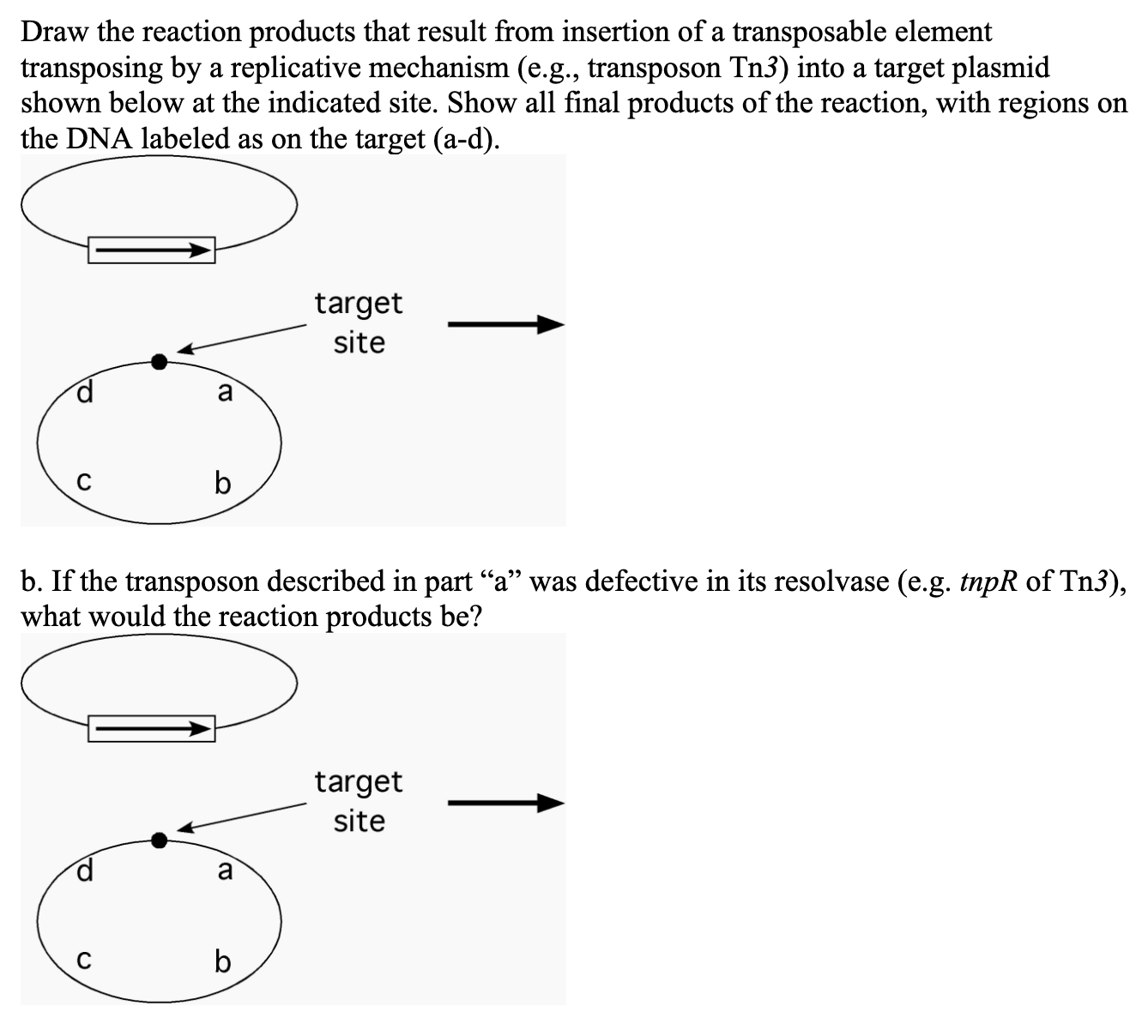 Solved Draw the reaction products that result from insertion | Chegg.com