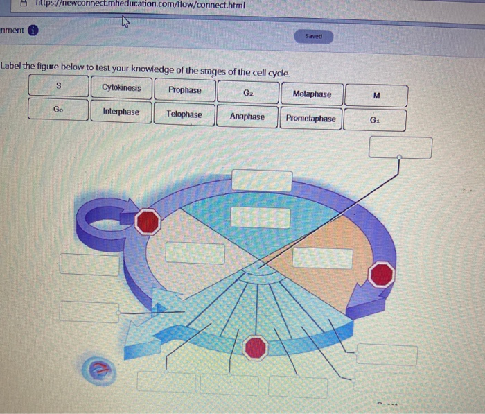 Solved https:/newconnect. meducation.com/flow/connect.html | Chegg.com Solved https:/newconnect. meducation.com/flow/connect.html | Chegg.com