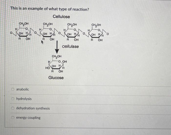 Solved The molecule below is an example of a macromolecule. | Chegg.com