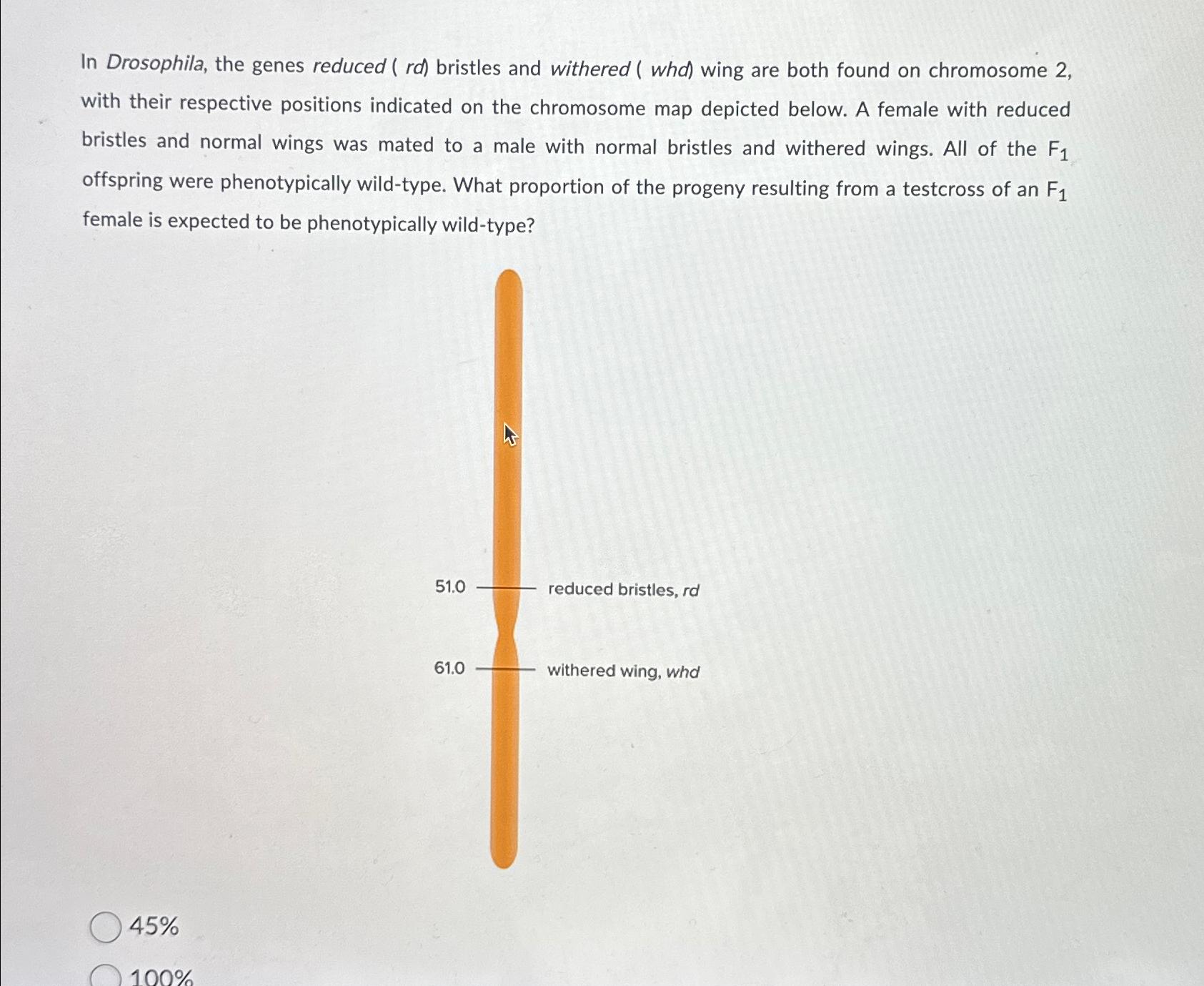 Solved In Drosophila, the genes reduced ( rd ) ﻿bristles and | Chegg.com