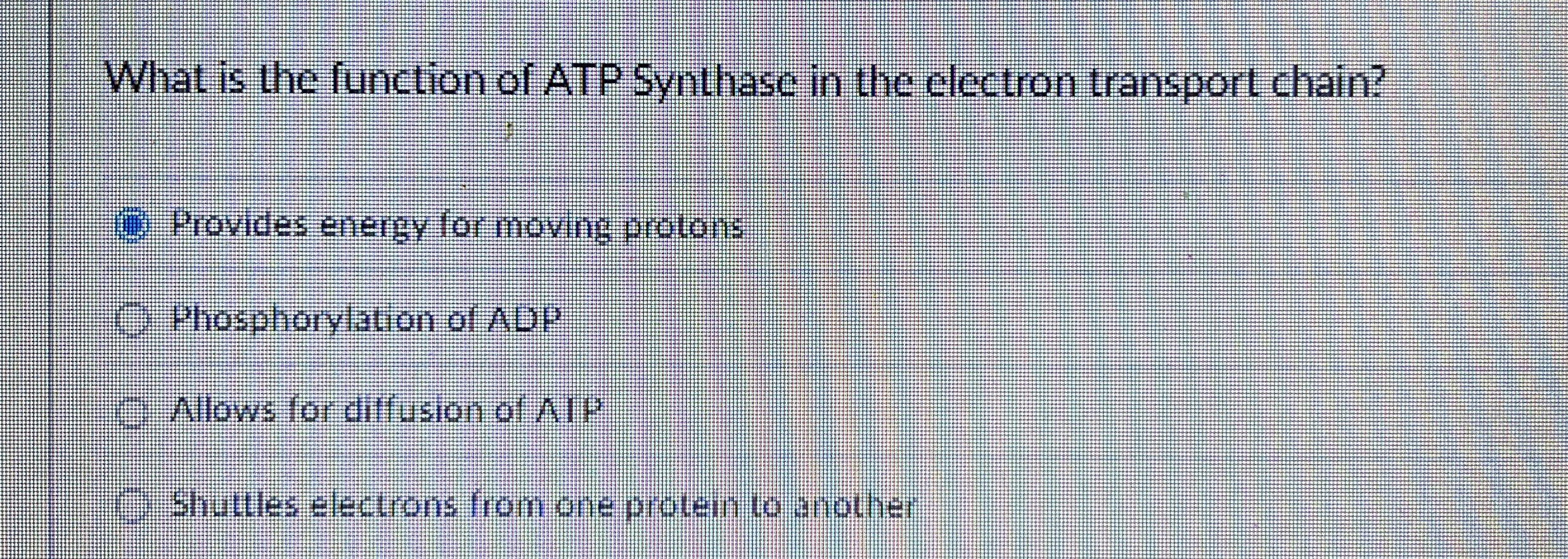 Solved What is the function of ATP Synthase in the electron | Chegg.com