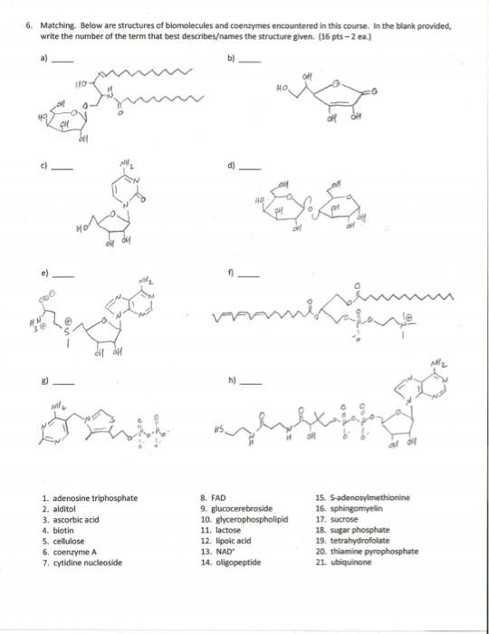 Solved 6. Matching. Below are structures of biomolecules and | Chegg.com