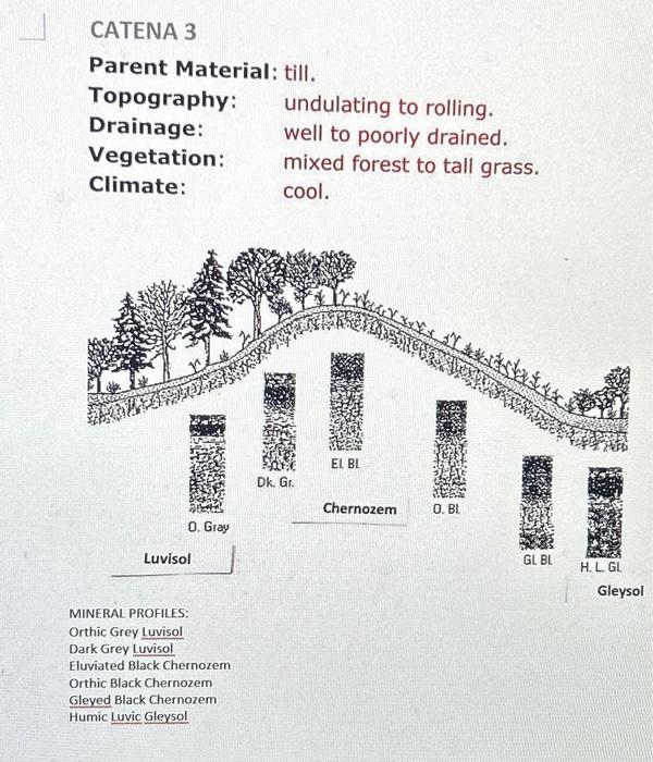 Solved 3. Catena 3 represents a common soil sequence in the | Chegg.com