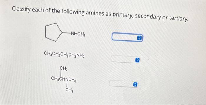 Solved Classify each of the following amines as primary, | Chegg.com