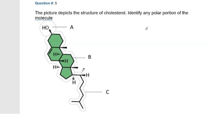 Solved The picture depicts the structure of cholesterol. | Chegg.com