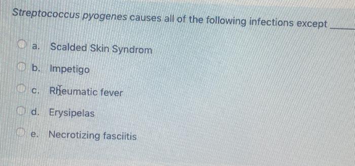 Solved Streptococcus pyogenes causes all of the following | Chegg.com