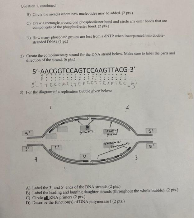 Solved GENETICS HELPThis is a hand out that was given during | Chegg.com