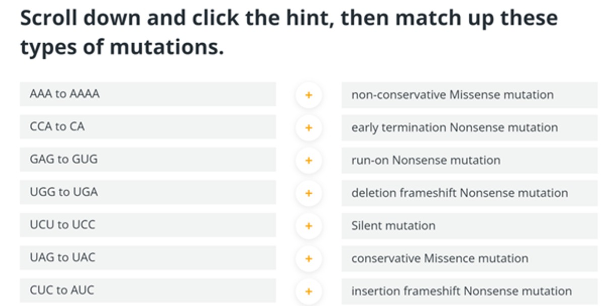 Solved Scroll down and click the hint, then match up | Chegg.com