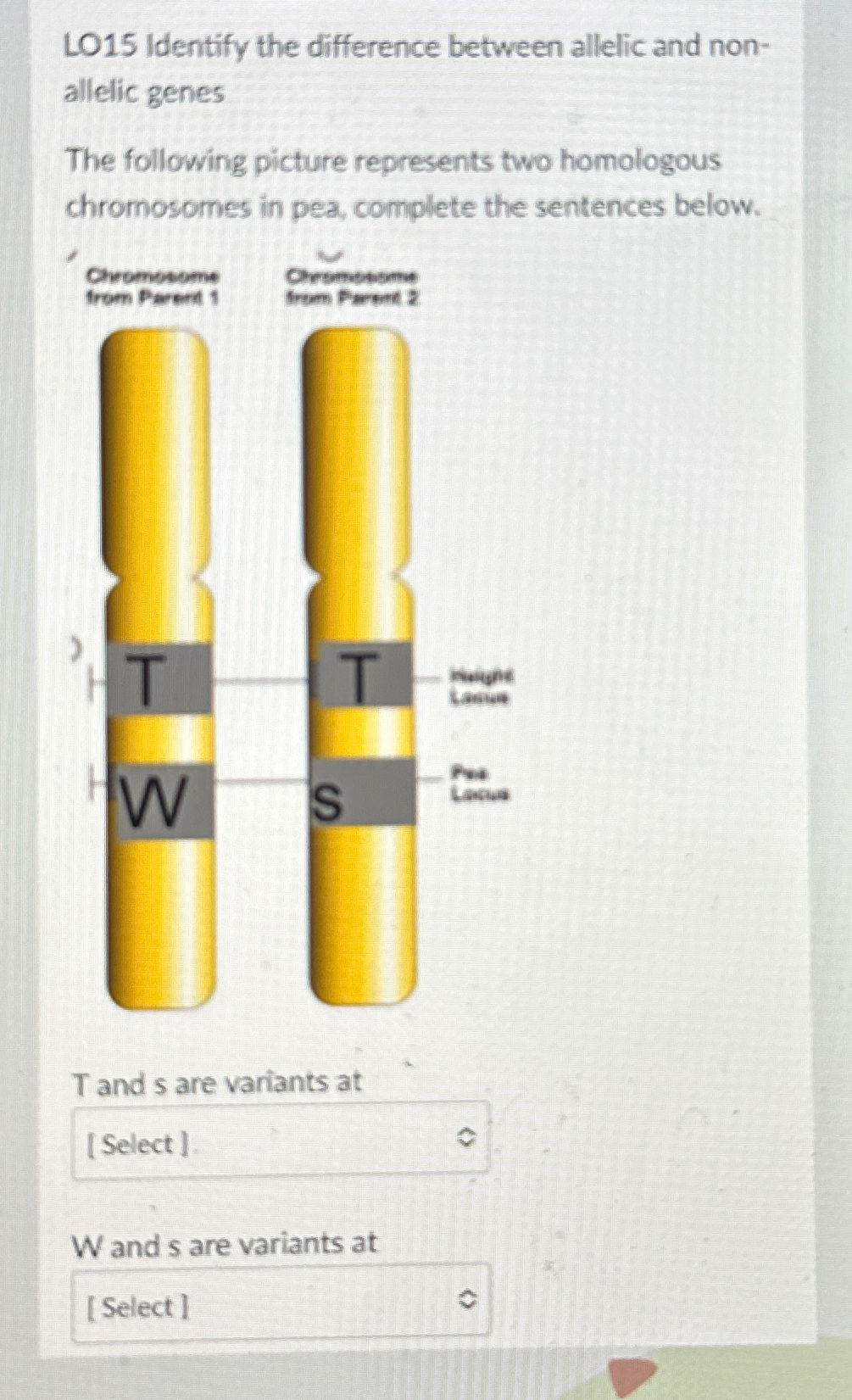 Solved L015 ﻿Identify the difference between allelic and | Chegg.com