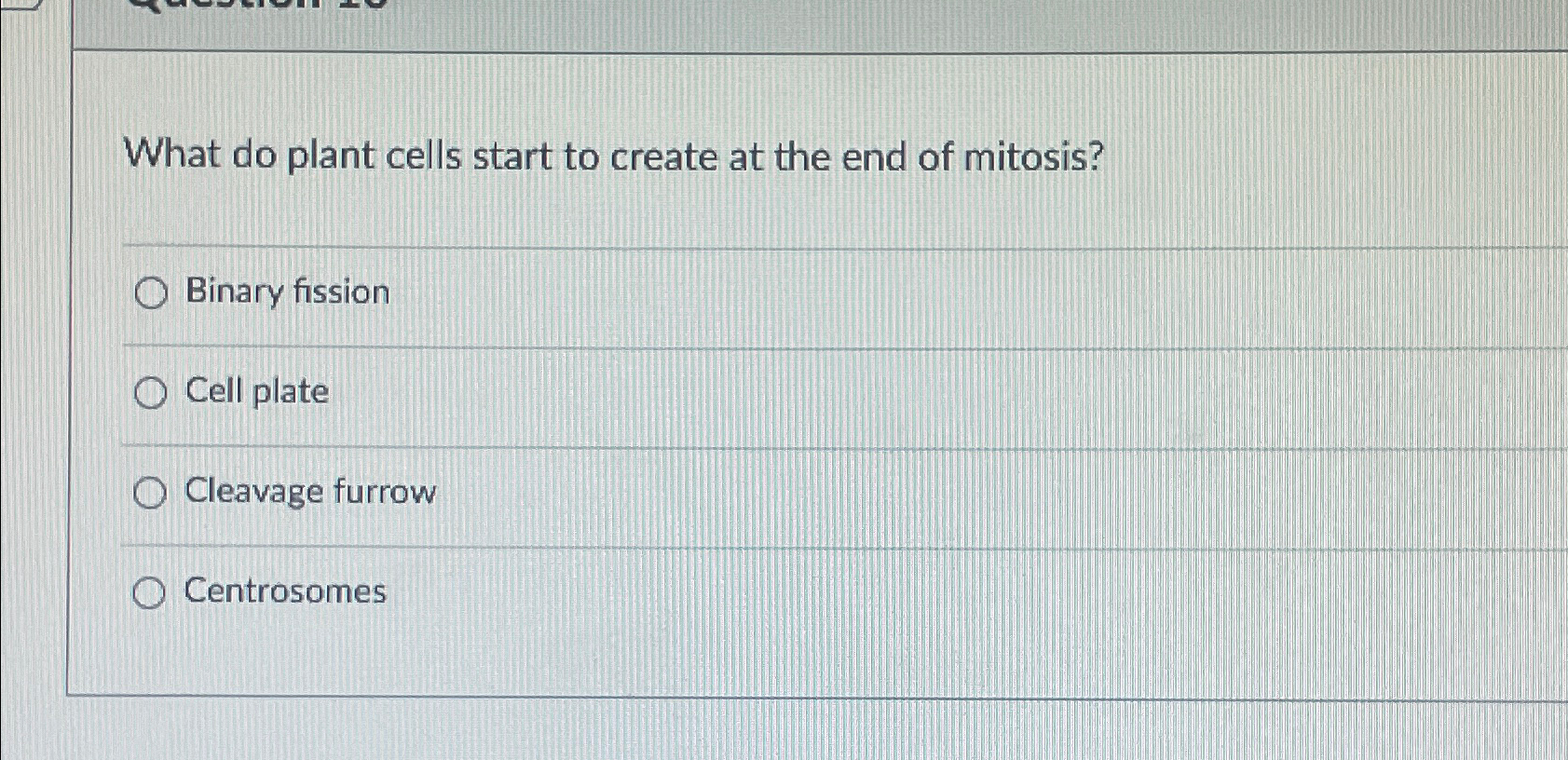 Solved What do plant cells start to create at the end of | Chegg.com