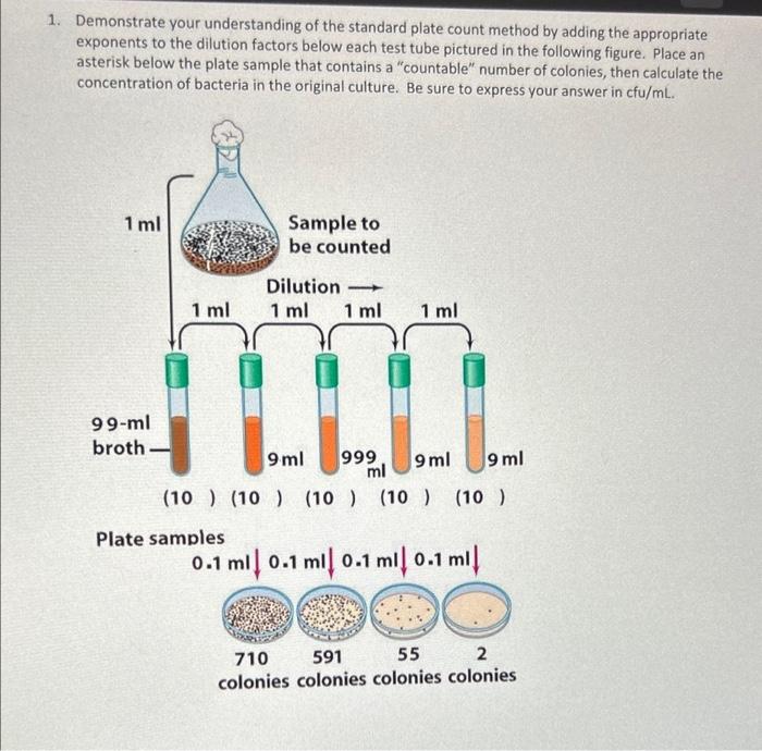 Solved 1. Demonstrate your understanding of the standard | Chegg.com