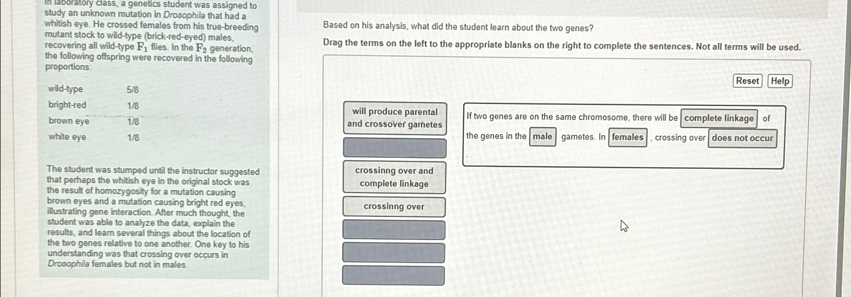 Solved In taboratory class, a genetics student was assigned | Chegg.com
