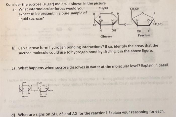 Solved CH2OH Consider the sucrose (sugar) molecule shown in | Chegg.com