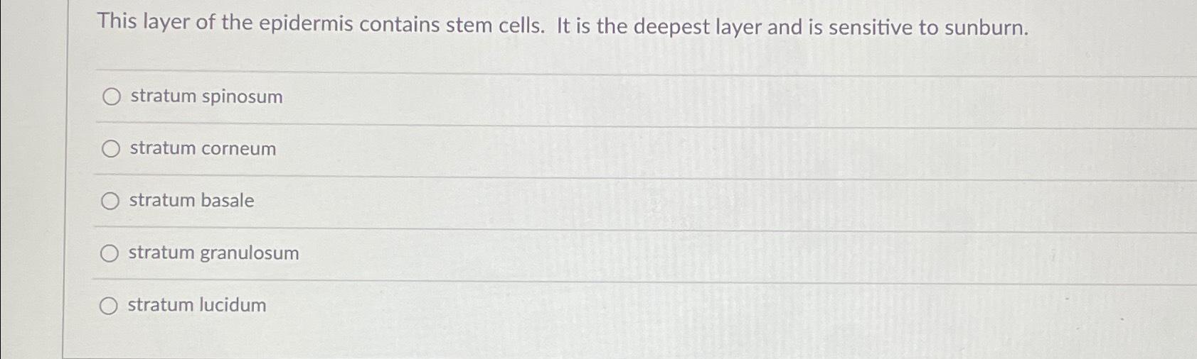 Solved This layer of the epidermis contains stem cells. It | Chegg.com