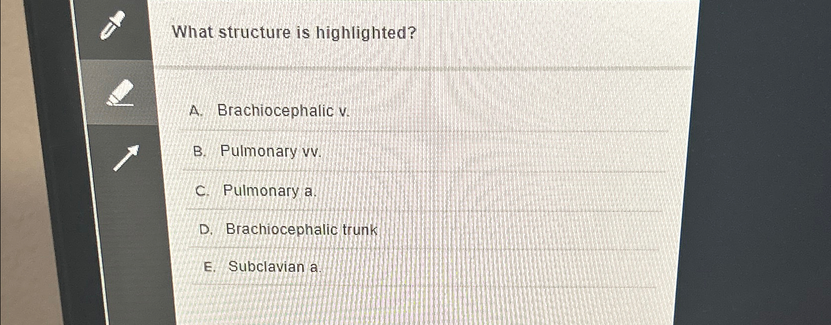 Solved What structure is highlighted?A. ﻿Brachiocephalic | Chegg.com