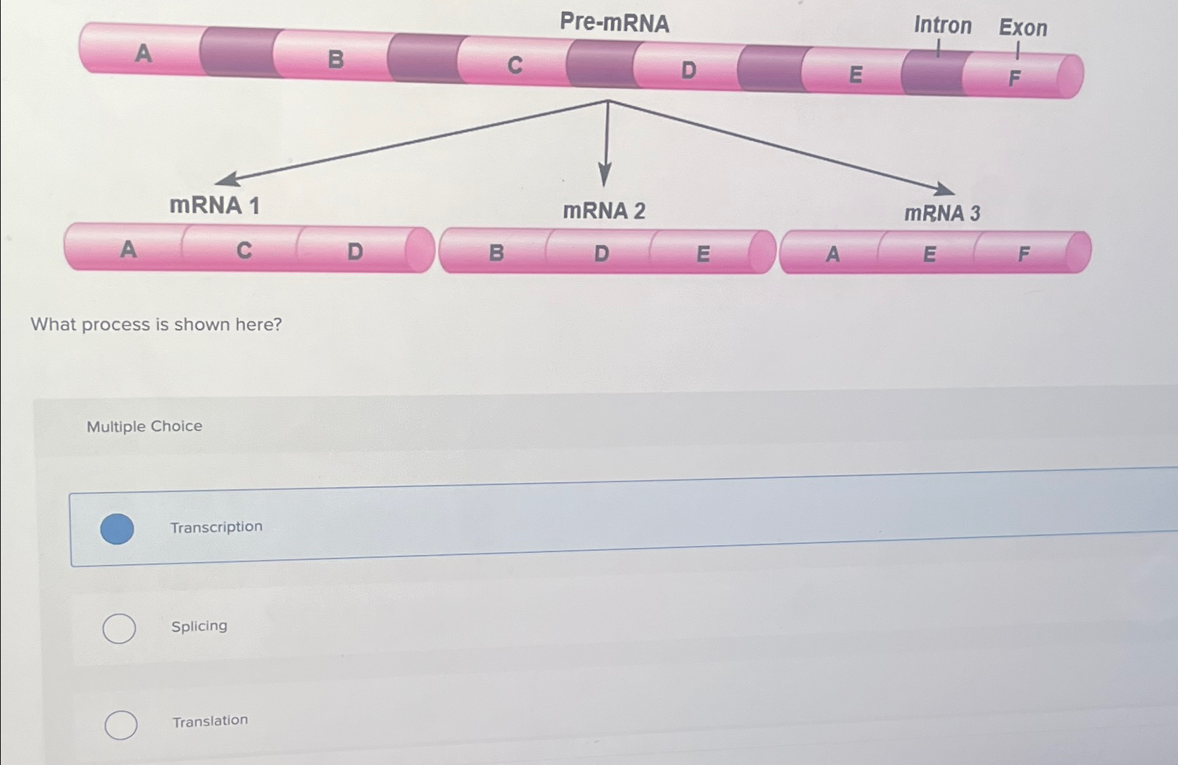 Solved What process is shown here?Multiple | Chegg.com