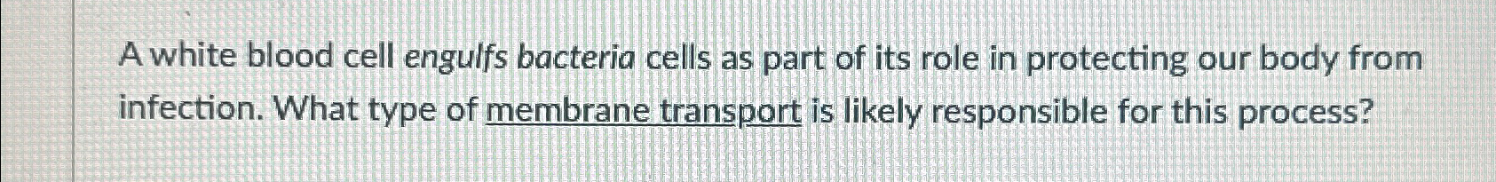 Solved A white blood cell engulfs bacteria cells as part of | Chegg.com