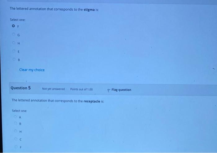 Solved The lettered annotation that corresponds to the | Chegg.com