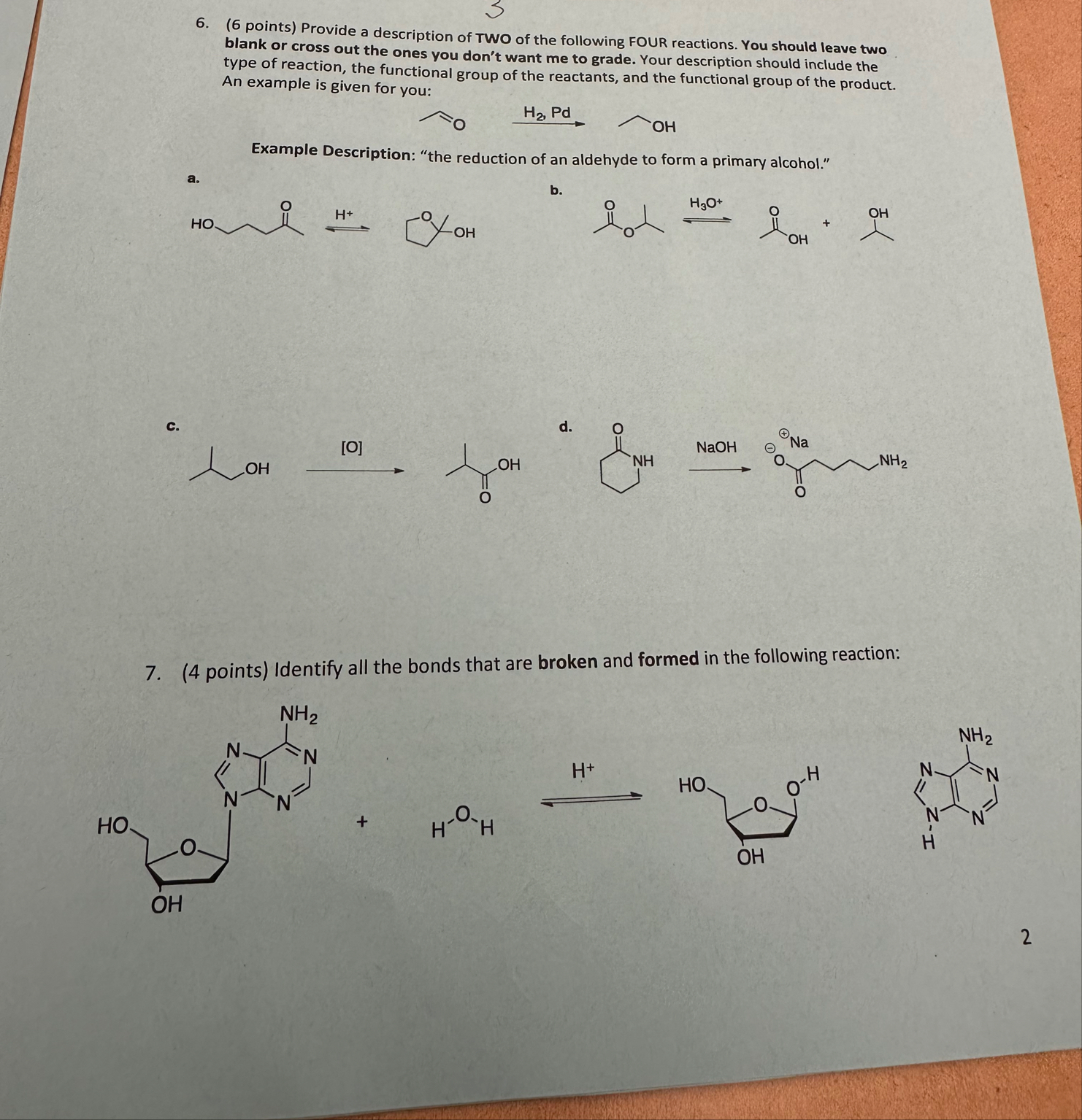 Solved (6 ﻿points) ﻿Provide a description of TWO of the | Chegg.com