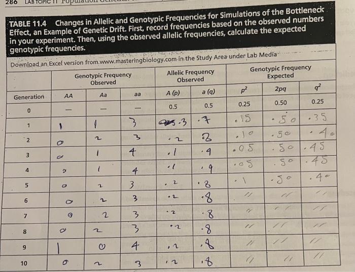 TABLE 11.4 Changes in Allelic and Genotypic | Chegg.com