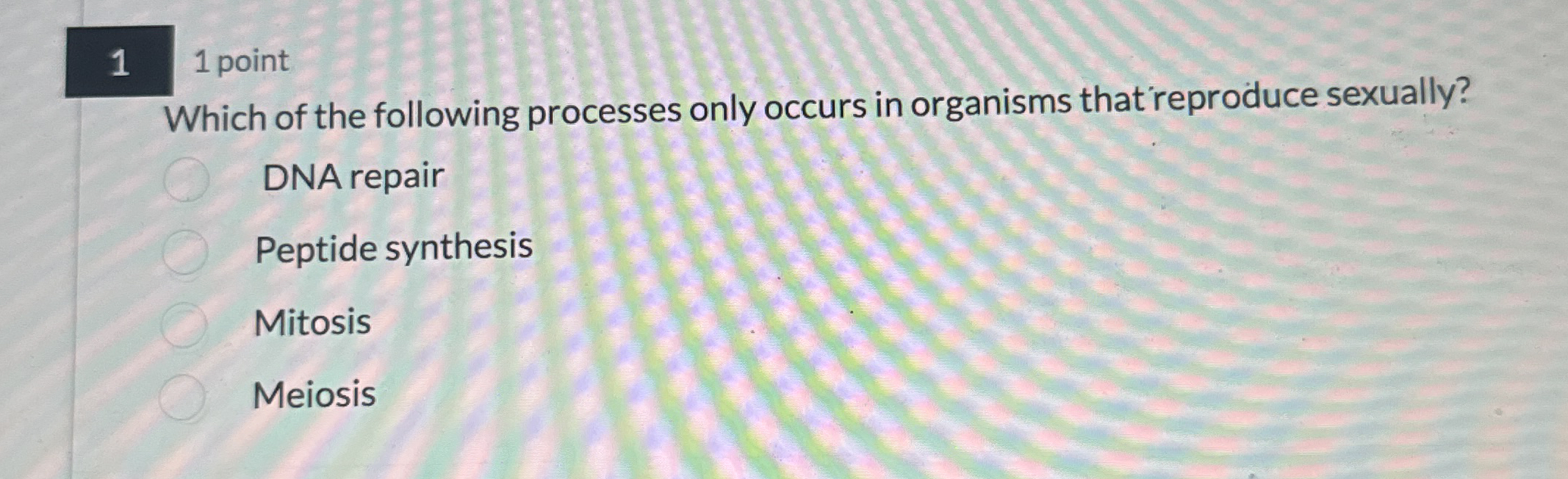 Solved 11 ﻿pointWhich of the following processes only occurs | Chegg.com