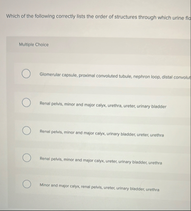 Solved Which of the following correctly lists the order of | Chegg.com