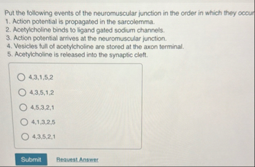 Solved Put the following events of the neuromuscular | Chegg.com