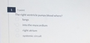 Solved 1 ﻿pointThe right ventricle pumps blood | Chegg.com