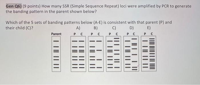 Solved Gen 26) (9 points) How many SSR (Simple Sequence | Chegg.com