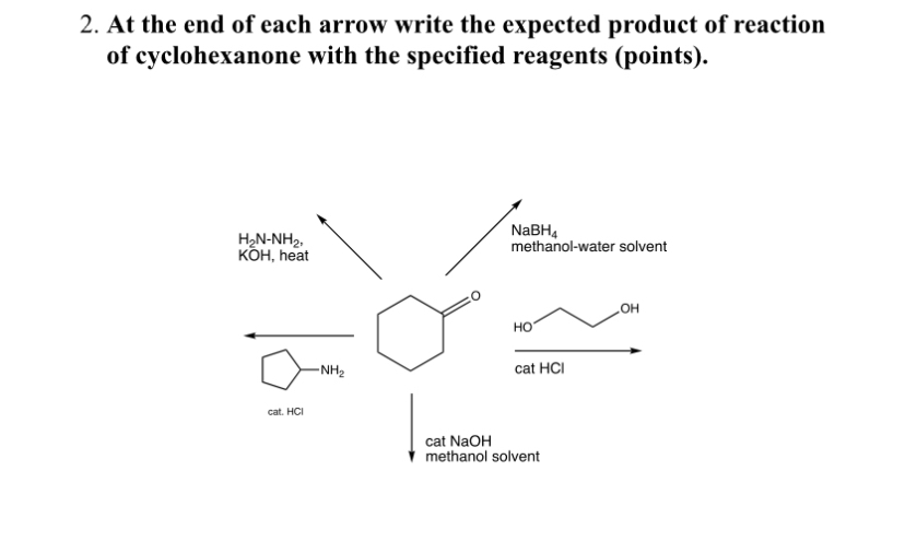 Solved At the end of each arrow write the expected product | Chegg.com