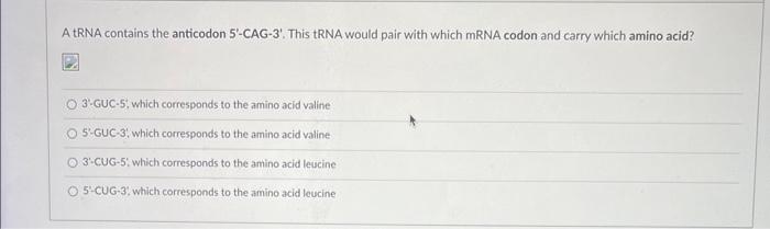 Solved A tRNA contains the anticodon 5'-CAG-3'. This tRNA | Chegg.com