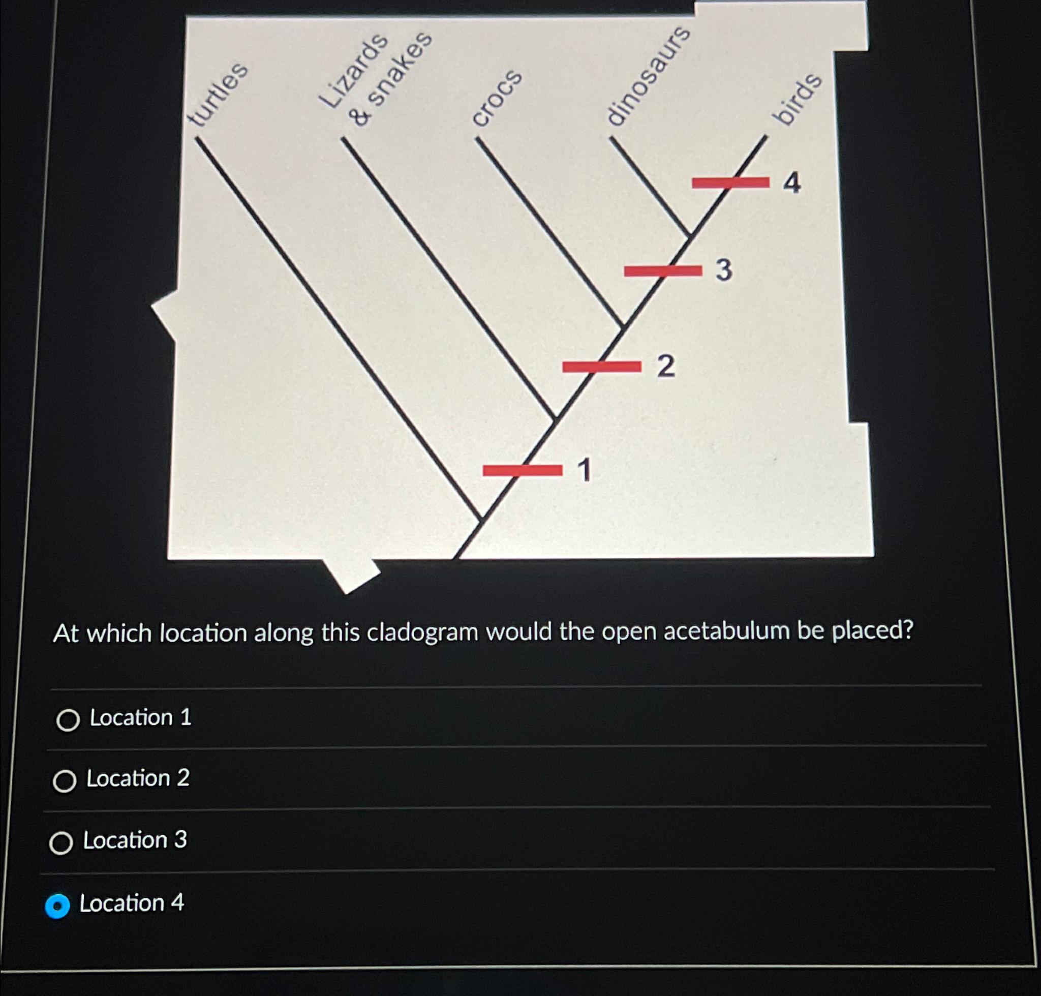 Solved At which location along this cladogram would the open | Chegg.com