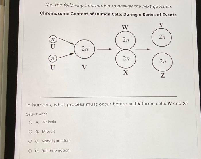 Solved Use the following information to answer the next | Chegg.com