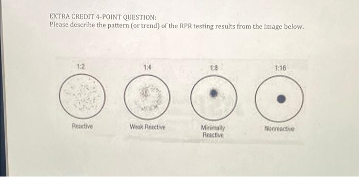 Solved EXTRA CREDIT 4-POINT QUESTION: Please describe the | Chegg.com