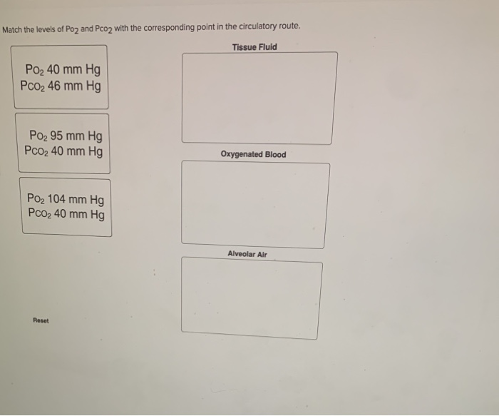 Solved Match the levels of Po2 and Pcou with the | Chegg.com